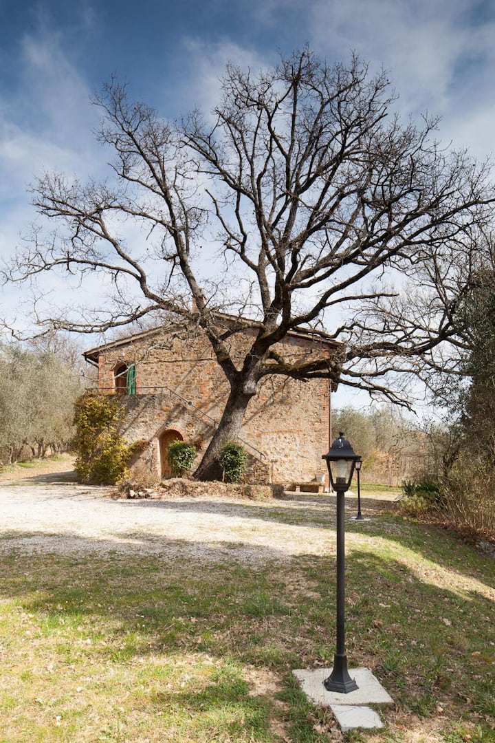 Podere Villa Rosa - Pienza