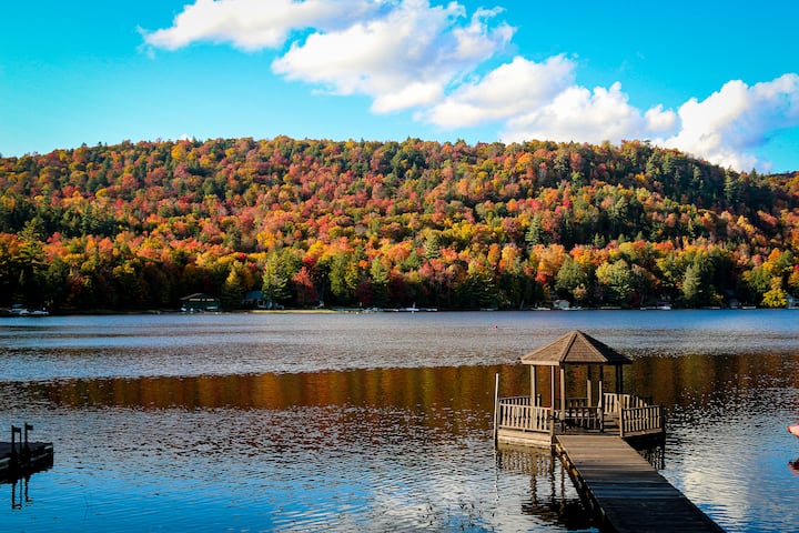 Iris - Big Moose Lakeside - Old Forge, NY