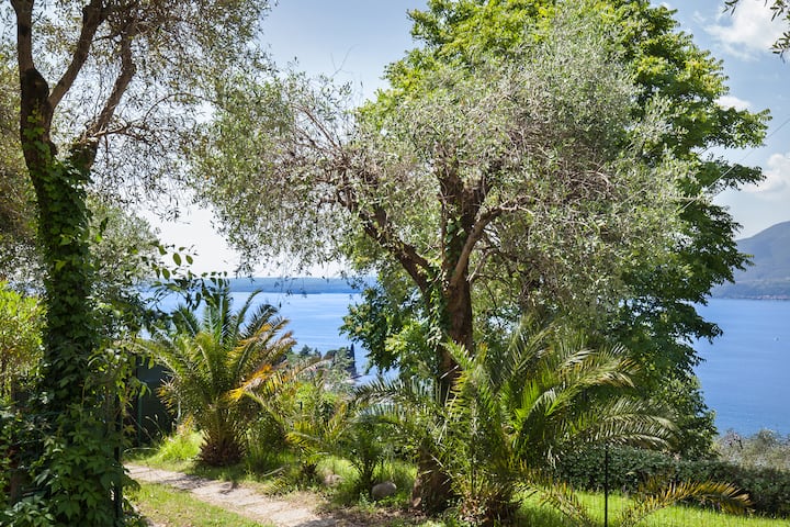 Villa Andy - Apartment In Villa With Lake View - Torri del Benaco