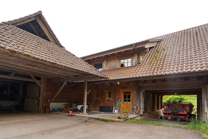 Ferienwohnung 5 - Panoramablick - Gengenbach