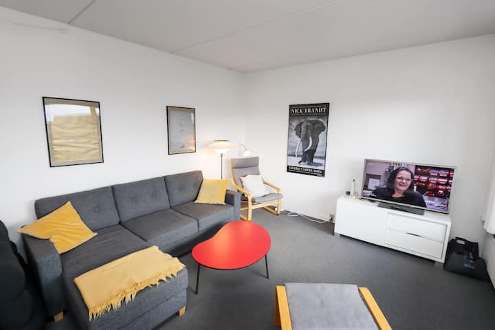 Spacious Corner Apartment On First Floor - Sj3213 - Henne Kirkeby
