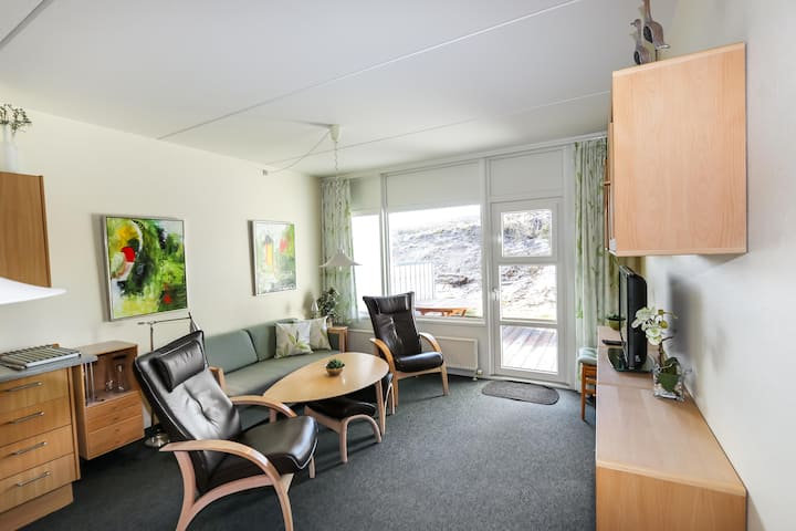 4-person Apartment Ground Floor- Sj3129 - Henne Kirkeby