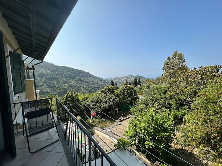 Agapante - Ventimiglia