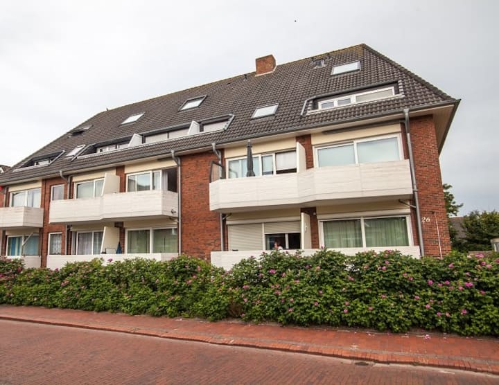 Meeresstern - Langeoog