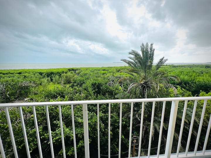 Ocean View 1br - Near Marine & Bird Sanctuaries - Tavernier, FL