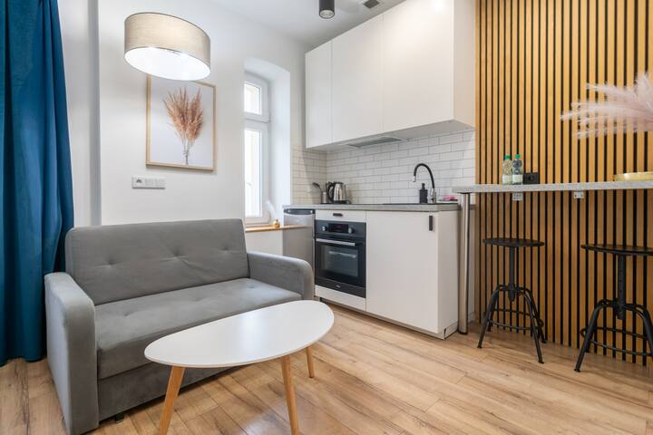 Viktoria Ii Charming Apartament - Katowice