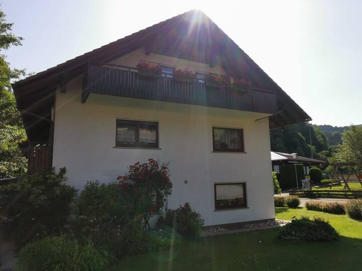 Ferienwohnung Schöner - Oberharmersbach