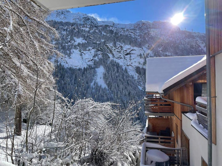 Le Crystal Blanc 407 - Vaujany