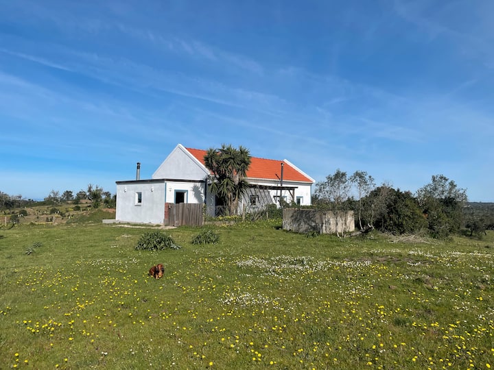 Casa Morena - Melides