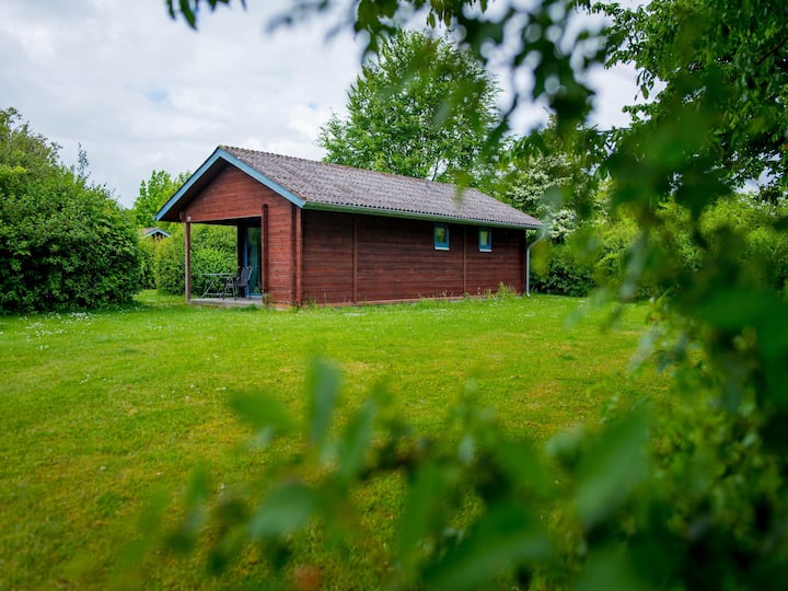 Cabane à Damp Près De La Plage Baltique - Ostsee