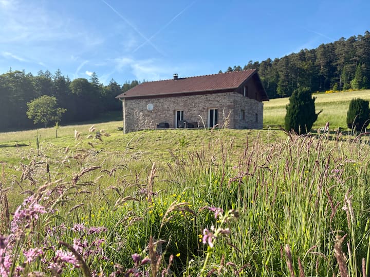 Gite Du Bois Le Renard - Nature Et Bien-être - Vogesen