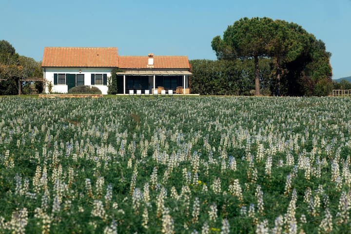 Cottage With Views Of Lake Burano - Montalto di Castro