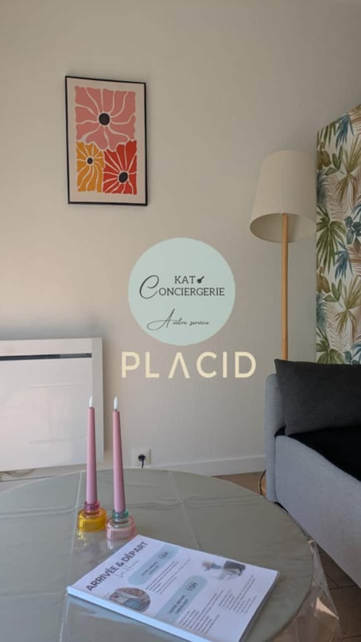 T1 Bis Avec Parking – 10 Min à Pied Du Centre - Vannes