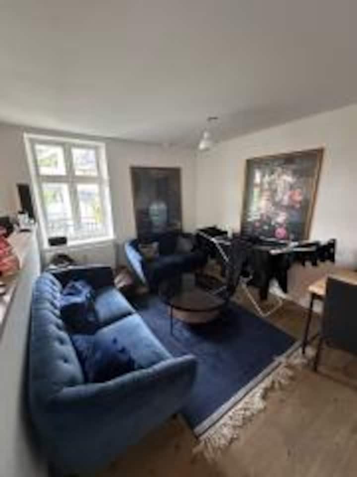 Copenhagen Cozy Apartment - Copenhagen