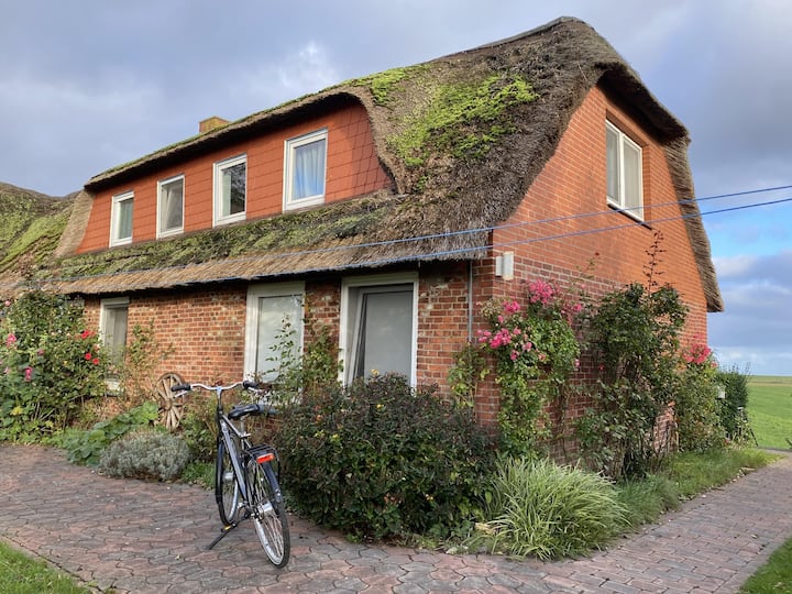 Opas Hus à Pellworm - Pellworm