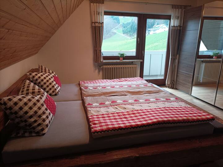 Ferienwohnung Wiesenblick - Oberharmersbach