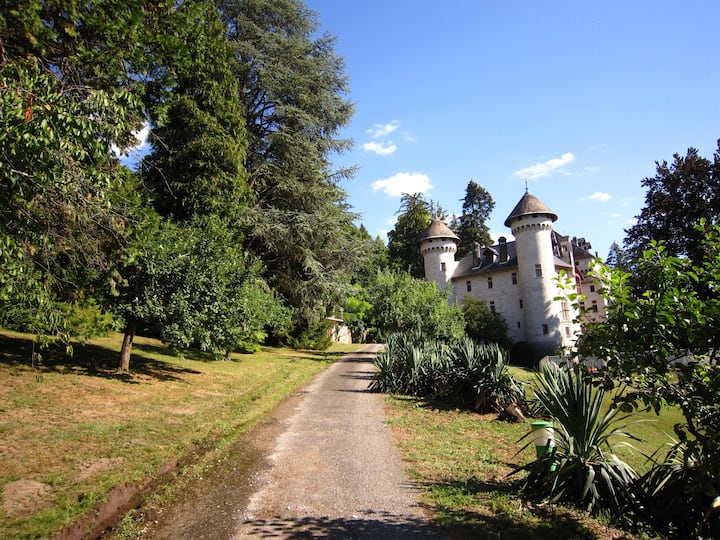 Appartement Château Rénové Avec Piscine - Rumilly