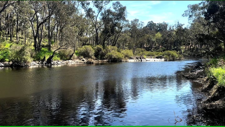 River Front, Tiny Home In Natural Bush - Bridgetown