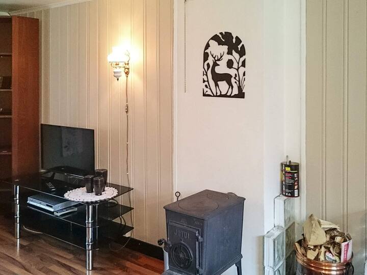 Maison De Vacances Pour 6 A øVre åRdal - Øvre Årdal