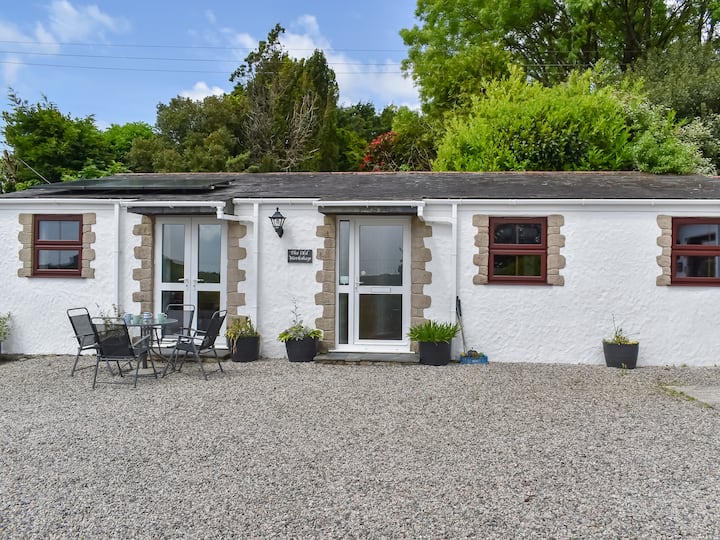 The Old Workshop - Uk49871 - Bodmin