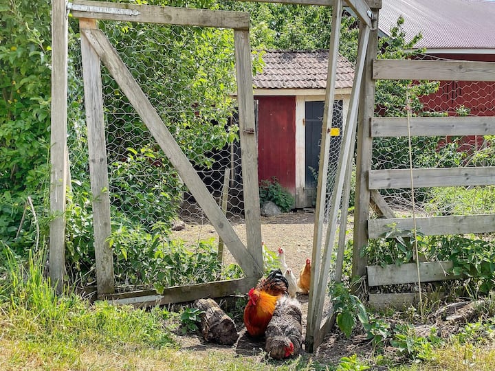 Maison De Vacances Pour 5 A Valdemarsvik-by Traum - Valdemarsvik