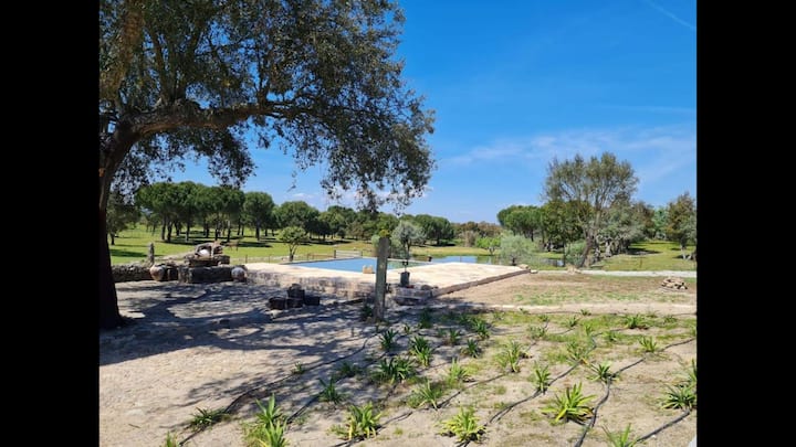 Kochab Alentejo - Crato