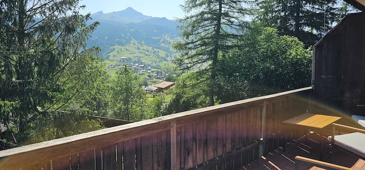Peak Apartment - Aare Jungfrau Ag - Grindelwald