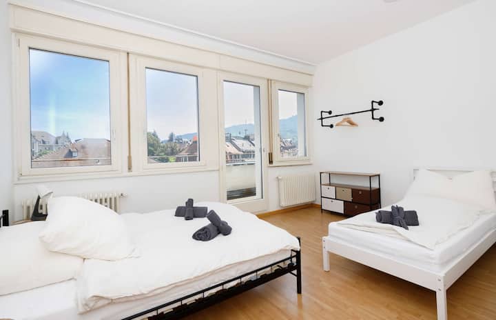 Spacious Zurich Apt, Huge Terrace & Views - Zurique
