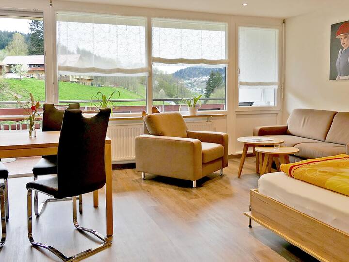 2 Zimmer Appartement Ferienhaus -A- - Bad Peterstal-Griesbach