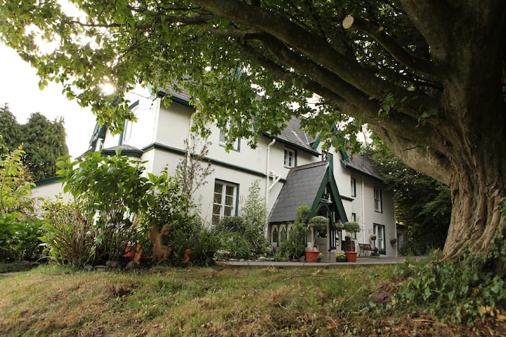 Victorian House & Pet Cabin – Sea View, Party Read - Cork
