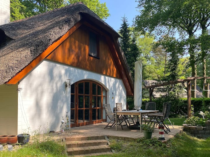 Refuge De La Forêt D'uelsen - Tubbergen