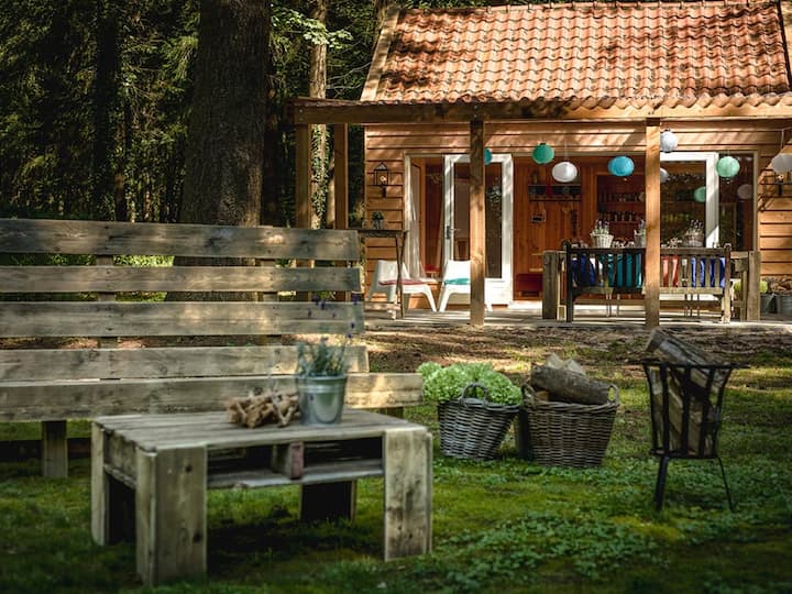 4 Cozy Forest Rooms - Walk Or Bike In Nature Trail - Ermelo, Netherlands