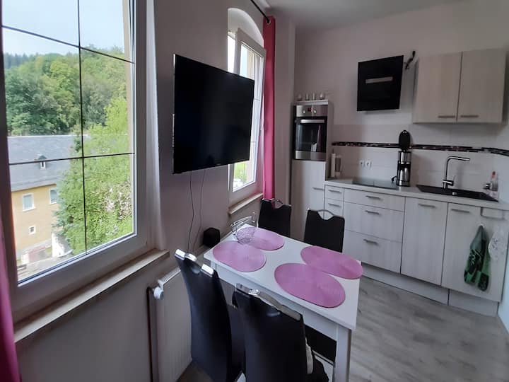 Bel Appartement à Bergk Avec Jardin - Schleiz