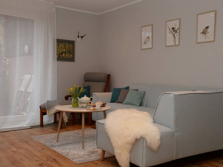 Appartement Avec Sauna - Bad Driburg