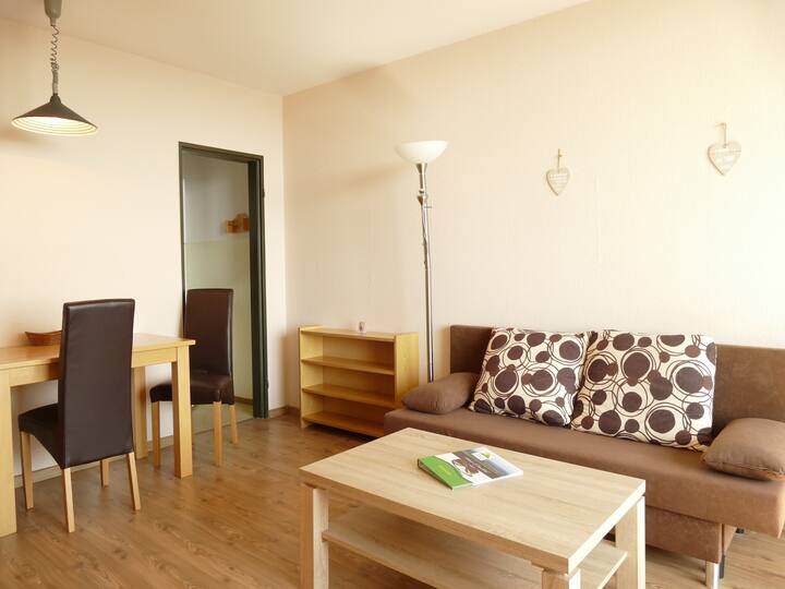 Appartement Elena Avec Piscine Et Sauna - Freyung
