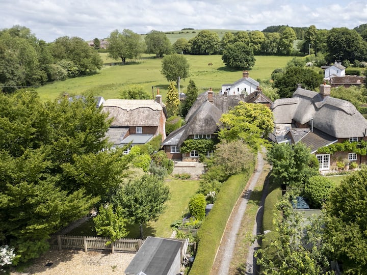 Beautiful 600 Year Old Cottage Nr Fordingbridge - Fordingbridge