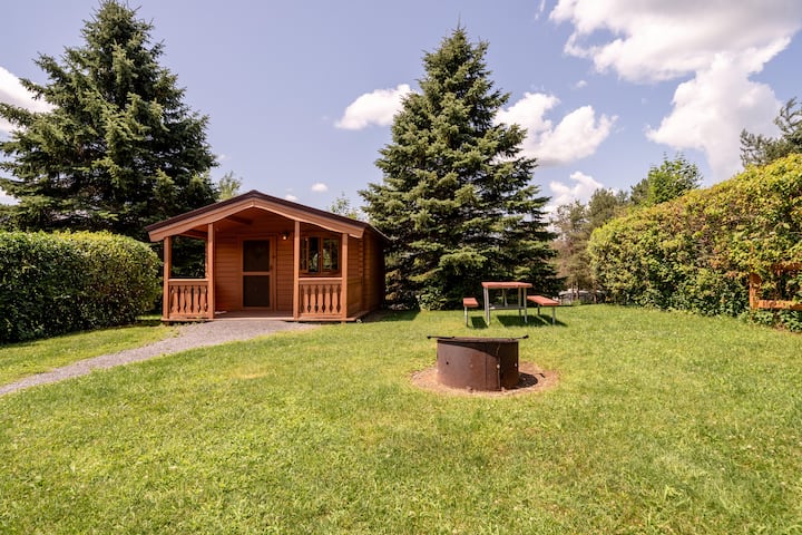 Secluded Primitive Cabin - Geneva, NY
