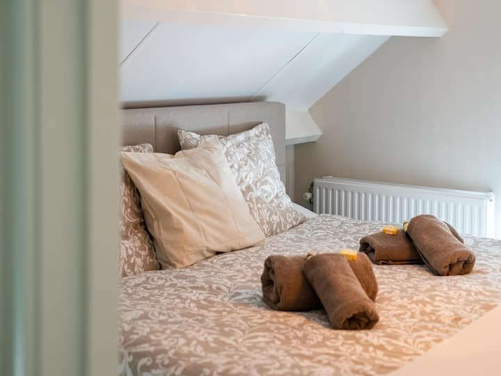 Villa Confortable Avec Sauna Et Jacuzzi - Zwolle
