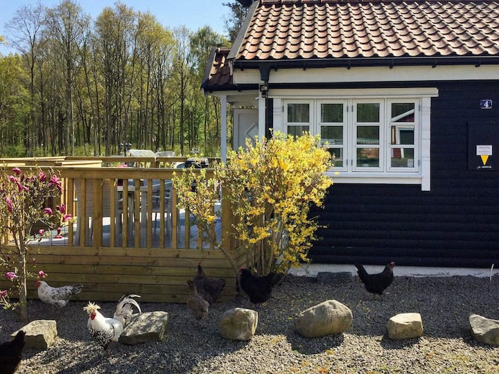 Maison De Vacances Pour 6 A Sölvesborg - Mörrum