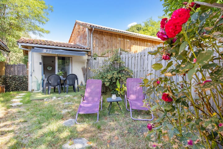 Studio Bleu Nature - Hourtin, Medoc - Hourtin