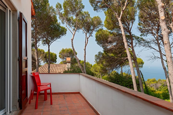 Villa Magnolie - Livorno