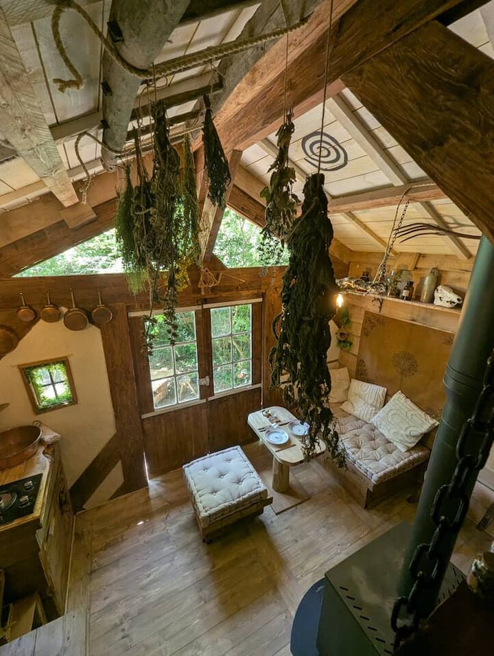 Le Druide Vous Confie Sa Cabane - Meurthe-et-Moselle