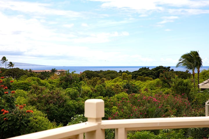 Kbm Resorts | Free Car Gch-120/34 - Maui, HI