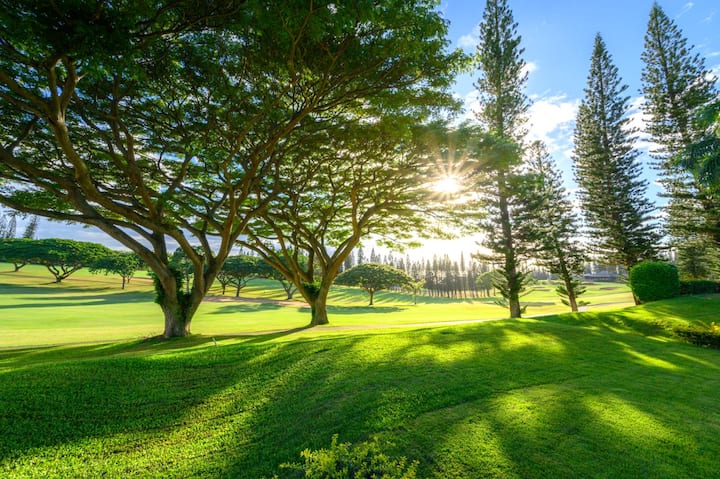 Kbm Resorts | Free Car Kapalua Golf Kgv-14p6/v3 - Maui