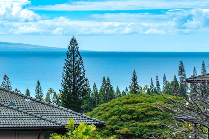 Kbm Resorts | Free Car Kapalua Kgv-21p2/p3 - Maui