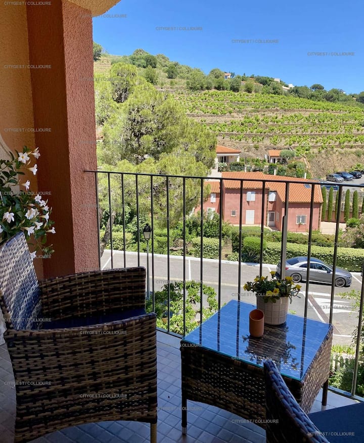 4cam35 Villa Dans Résidence Avec Piscine Collioure - Colliure