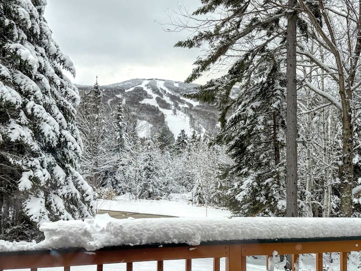 W23: Breathtaking Views, Pool Passes, Discounts! - Bretton Woods, NH