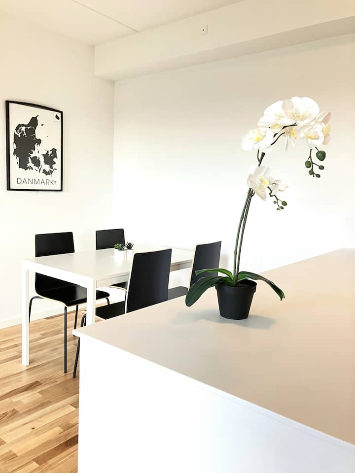 Spacious Apartment For 6 In Aalborg - Denmark
