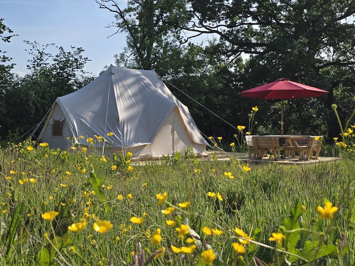 Oak Bell Tent - Herefordshire