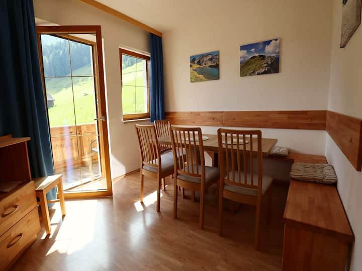 Appartement De Vacances Avec Balcon Et à Skis - Neustift im Stubaital